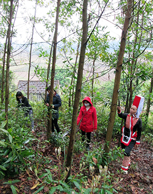 Chíu Sám Múi - Người phụ nữ Dao làm kinh tế giỏi - Báo Quảng Ninh điện tử
