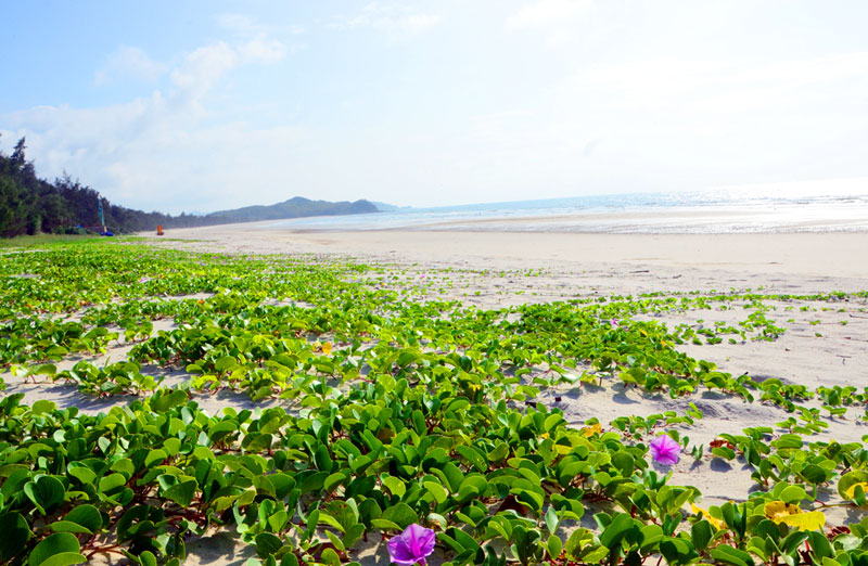 Sơn Hào: Biển xanh, cát trắng, nắng vàng - Báo Quảng Ninh điện tử