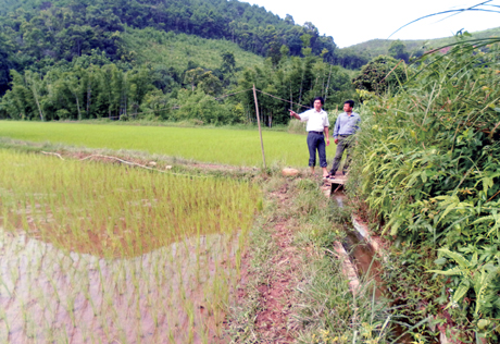 Lên Đồng Mộc, Quế Sơn xem người Dao làm giàu - Báo Quảng Ninh điện tử