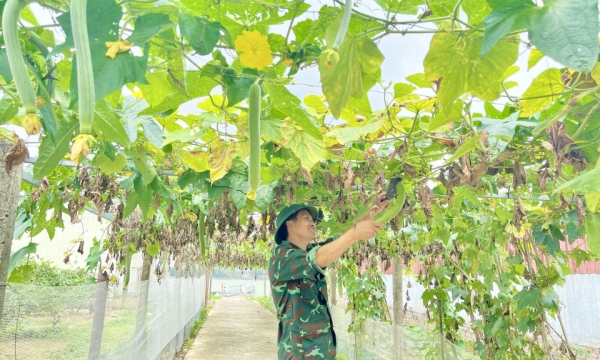 Sáng mãi phẩm chất Bộ đội Cụ Hồ - Báo Quảng Ninh điện tử