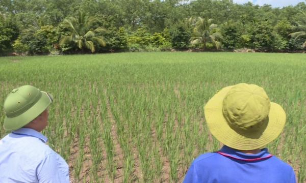 Thúc đẩy sản xuất nông nghiệp hữu cơ - Báo Quảng Ninh điện tử