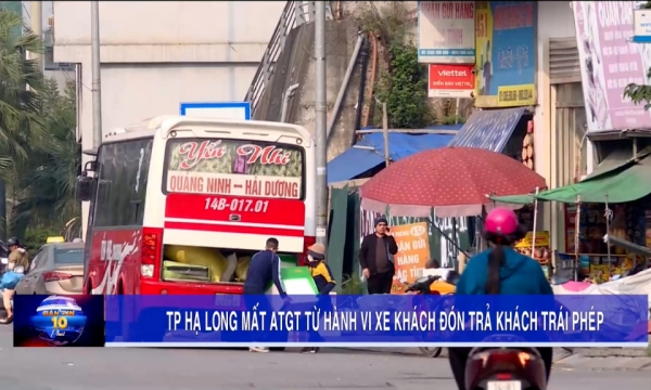 TP Hạ Long mất ATGT từ hành vi xe khách đón trả khách trái phép - Báo ...