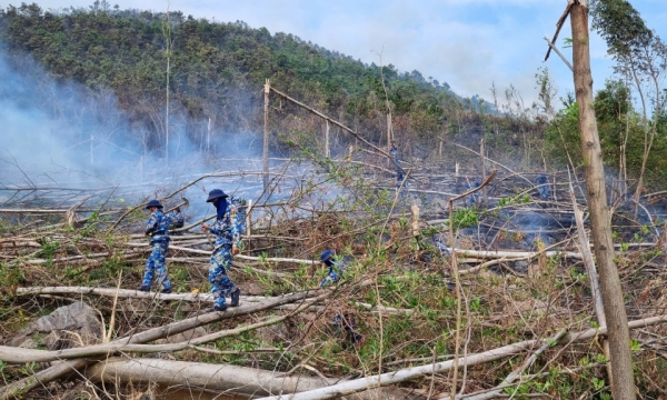 Lữ đoàn 147 tham gia chữa cháy rừng tại Đại Yên, Hạ Long - Báo Quảng ...
