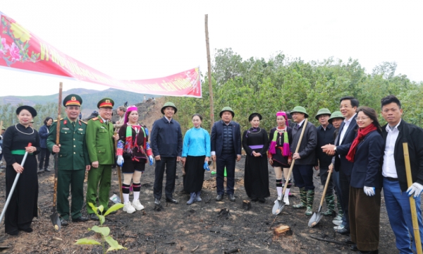 Quang Ninh launches Tet tree-planting festival - Quang Ninh Online