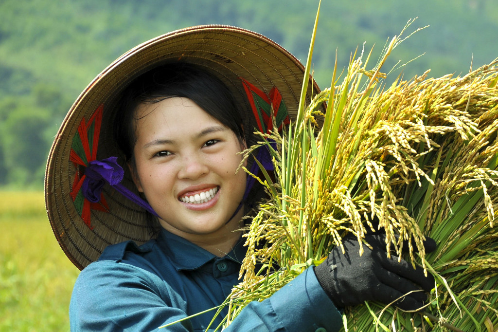 Nhịp sống đời thường - Báo Quảng Ninh điện tử