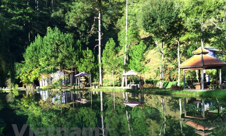 “Mở cửa lại bầu trời” liệu có an toàn khi COVID-19 chưa kết thúc? - Báo ...