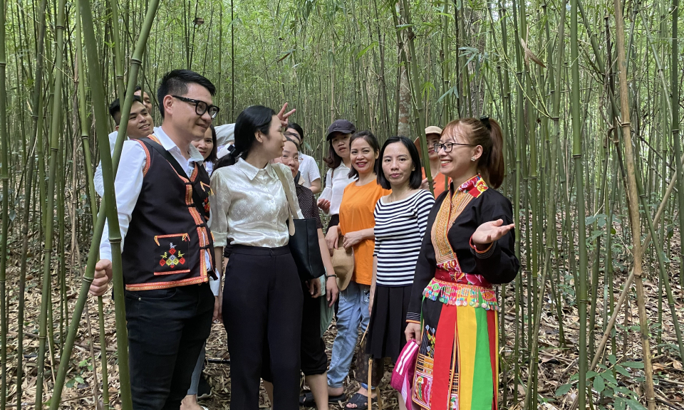 TP Hạ Long làm mới các sản phẩm để thu hút khách du lịch - Báo Quảng ...